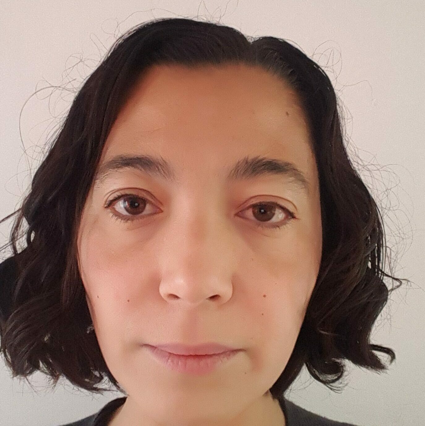 Laura Esquivel Padilla – Memoria de Hidalgo