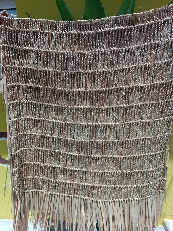 Salomón Rugerio Rojas – Memoria de Hidalgo