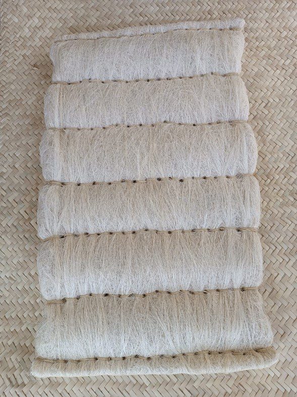 Salomón Rugerio Rojas – Memoria de Hidalgo